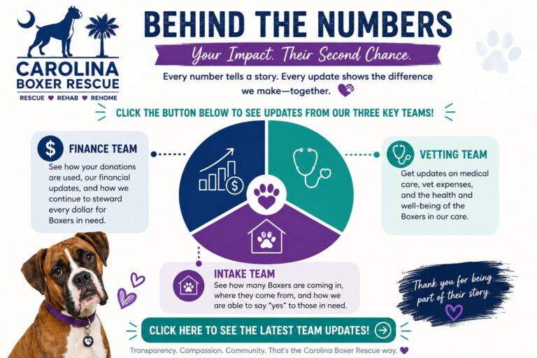 Inside the Rescue – The Numbers – Carolina Boxer Rescue